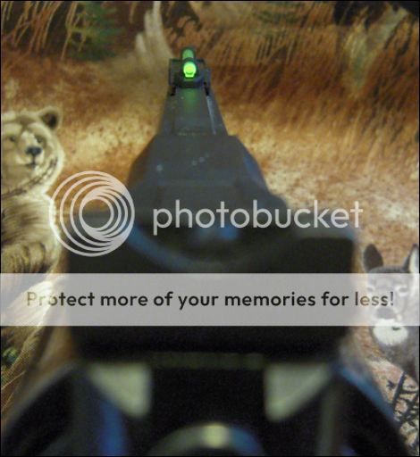 Python - Fiber Optic Sight | Colt Forum